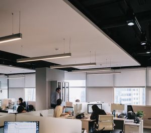 Company – Codezilla